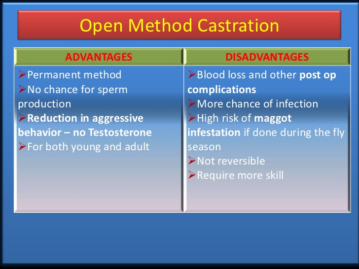 open castration